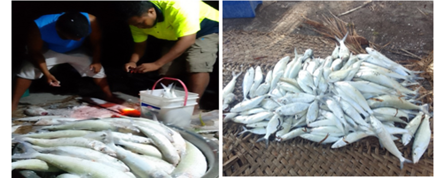 'Creel survey on Abemama island' October 2022 | UNDP Climate Change ...