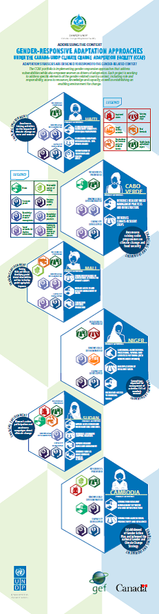 Addressing The Context Gender Responsive Adaptation Approaches Under