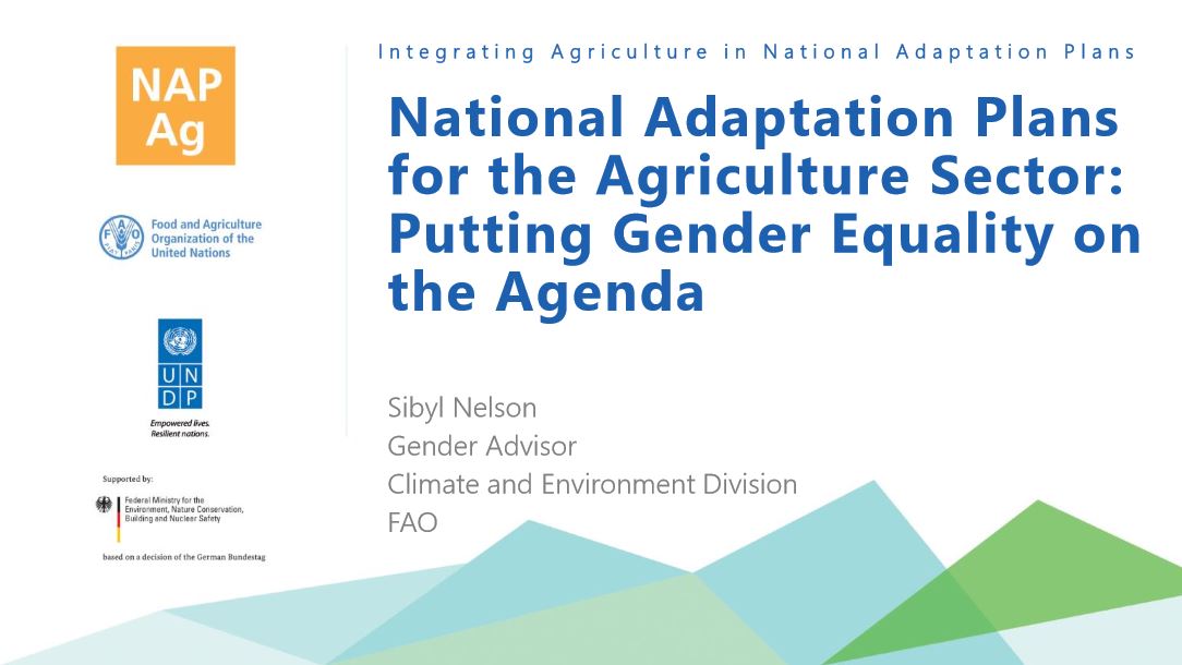 Powerpoint presentation, 'National Adaptation Plans for the Agriculture Sector: Putting Gender ...