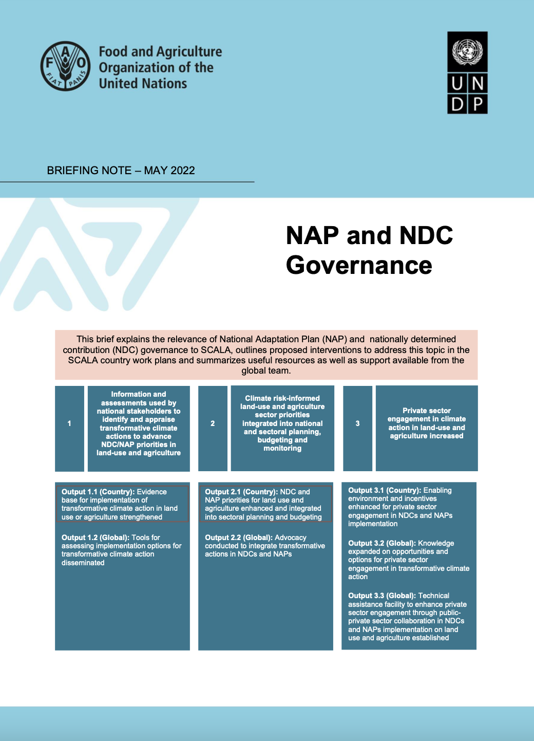 Briefing note: National Adaptation Plan (NAP) and nationally determined ...