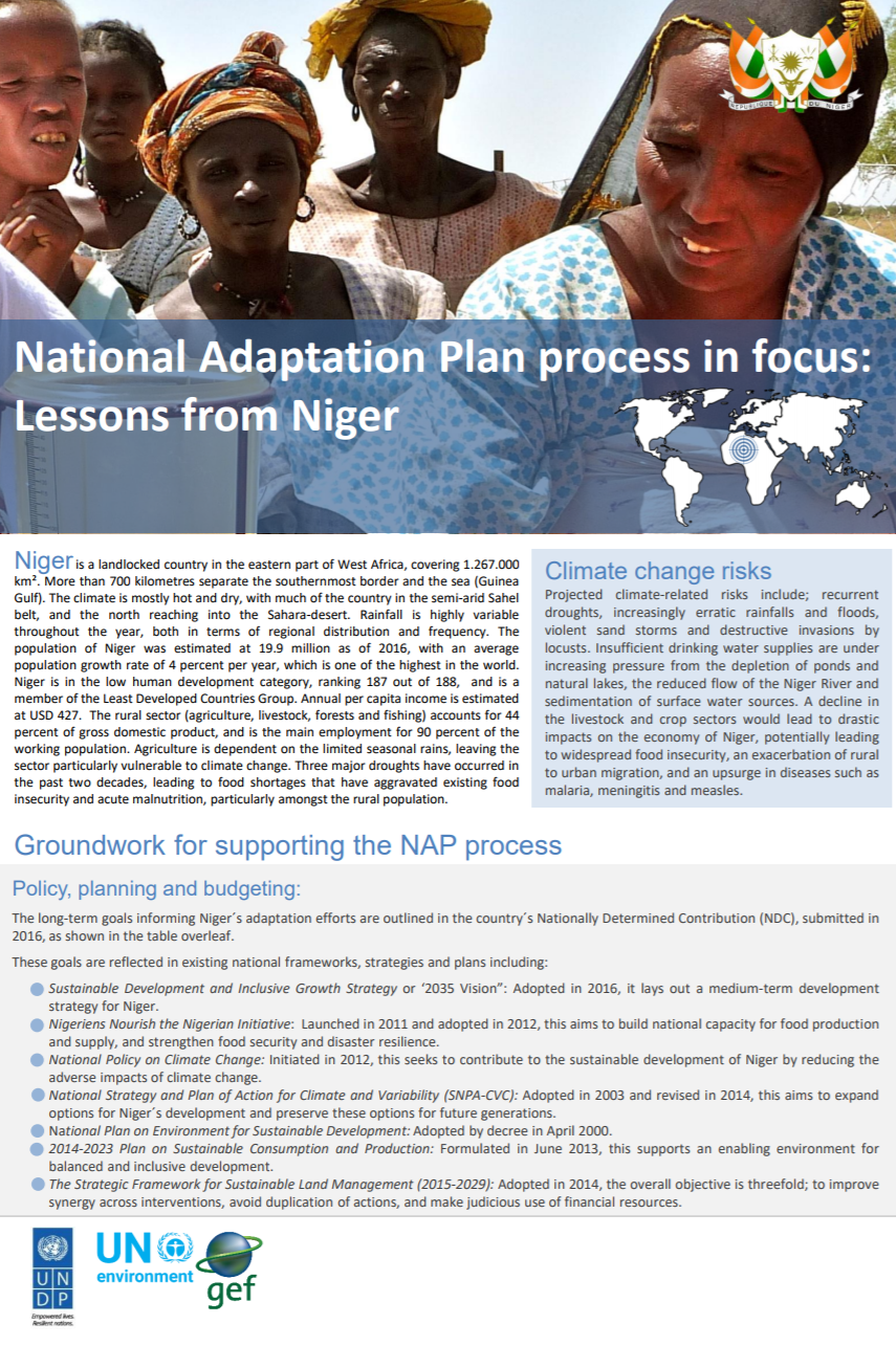 National Adaptation Plan process in focus: Lessons from Niger | UNDP Climate Change Adaptation