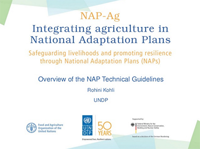 Overview of the NAP Technical Guidelines | UNDP Climate Change Adaptation