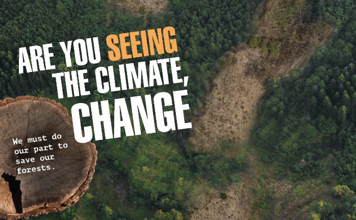 'Feel the Change' Campaign - Forest Poster | UNDP Climate Change Adaptation