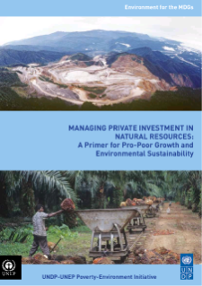 Managing Private Investment in Natural Resources | UNDP Climate Change ...