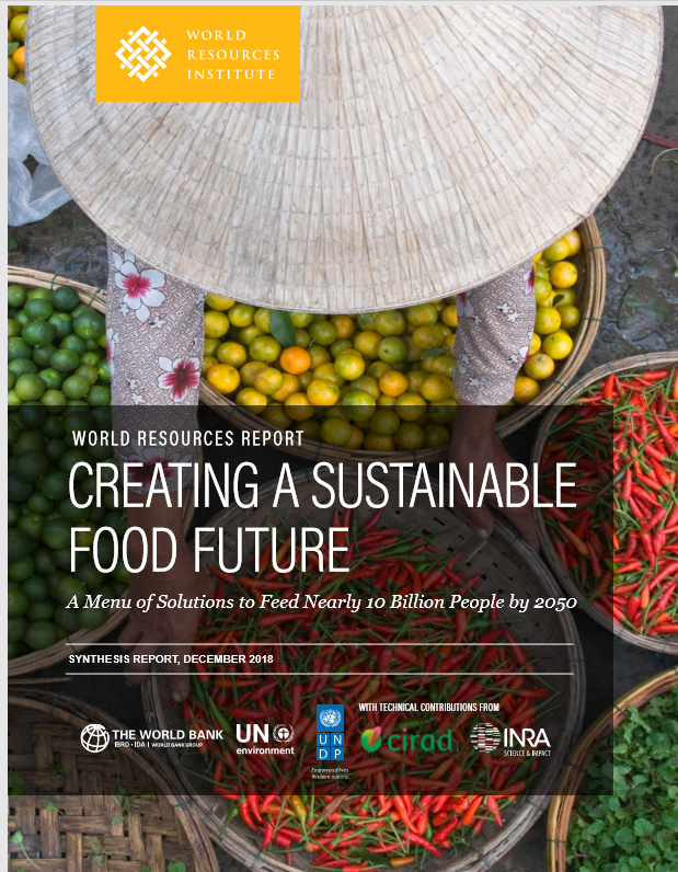 Creating a Sustainable Food Future | UNDP Climate Change Adaptation
