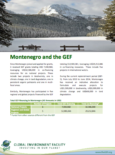 Capacity Building for Environmental Policy Institutions for Integration ...