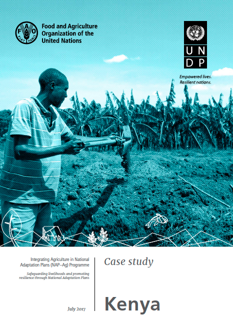Kenya Case Study | UNDP Climate Change Adaptation
