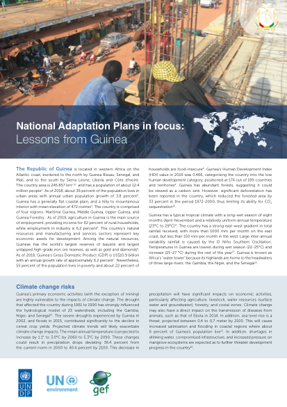 National Adaptation Plans in focus: lessons from Guinea | UNDP Climate ...