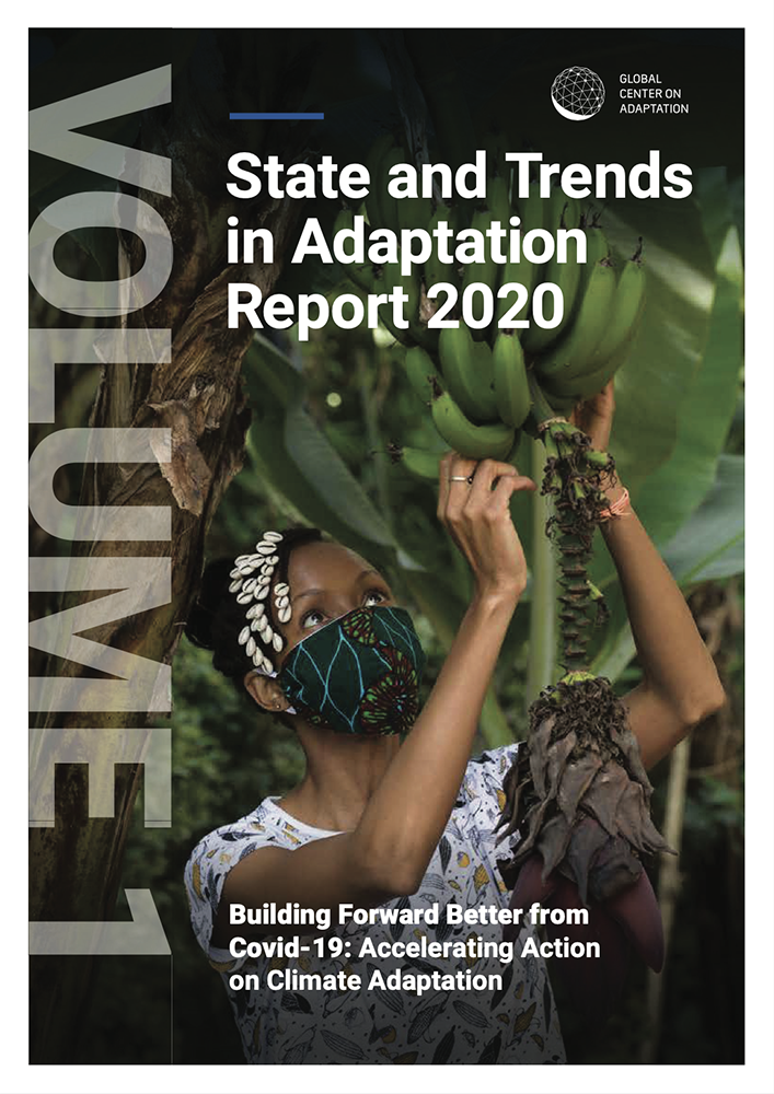 State and Trends in Adaptation Report 2020 | Volume 1: Building Forward ...