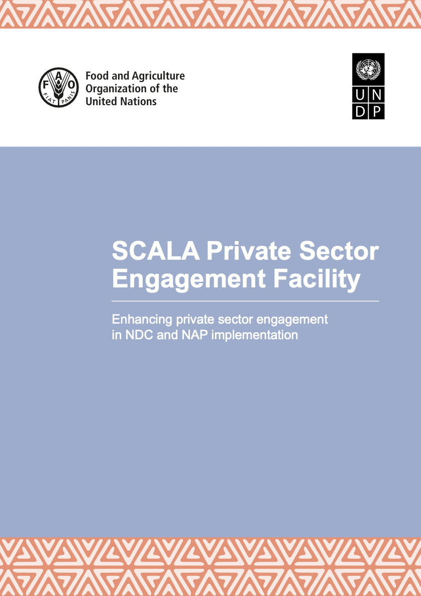 SCALA Private Sector Engagement Facility Brief | UNDP Climate Change ...