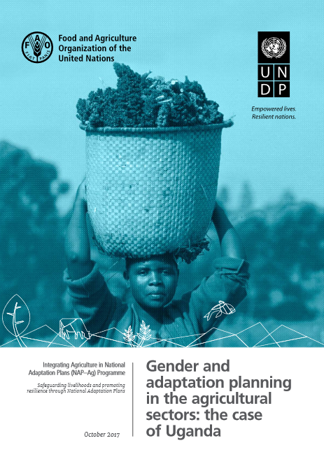 Gender and adaptation planning in the agriculture sectors: The case of ...