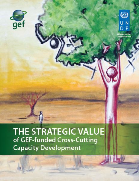 The Strategic Value of GEF-funded Cross Cutting Capacity Development ...