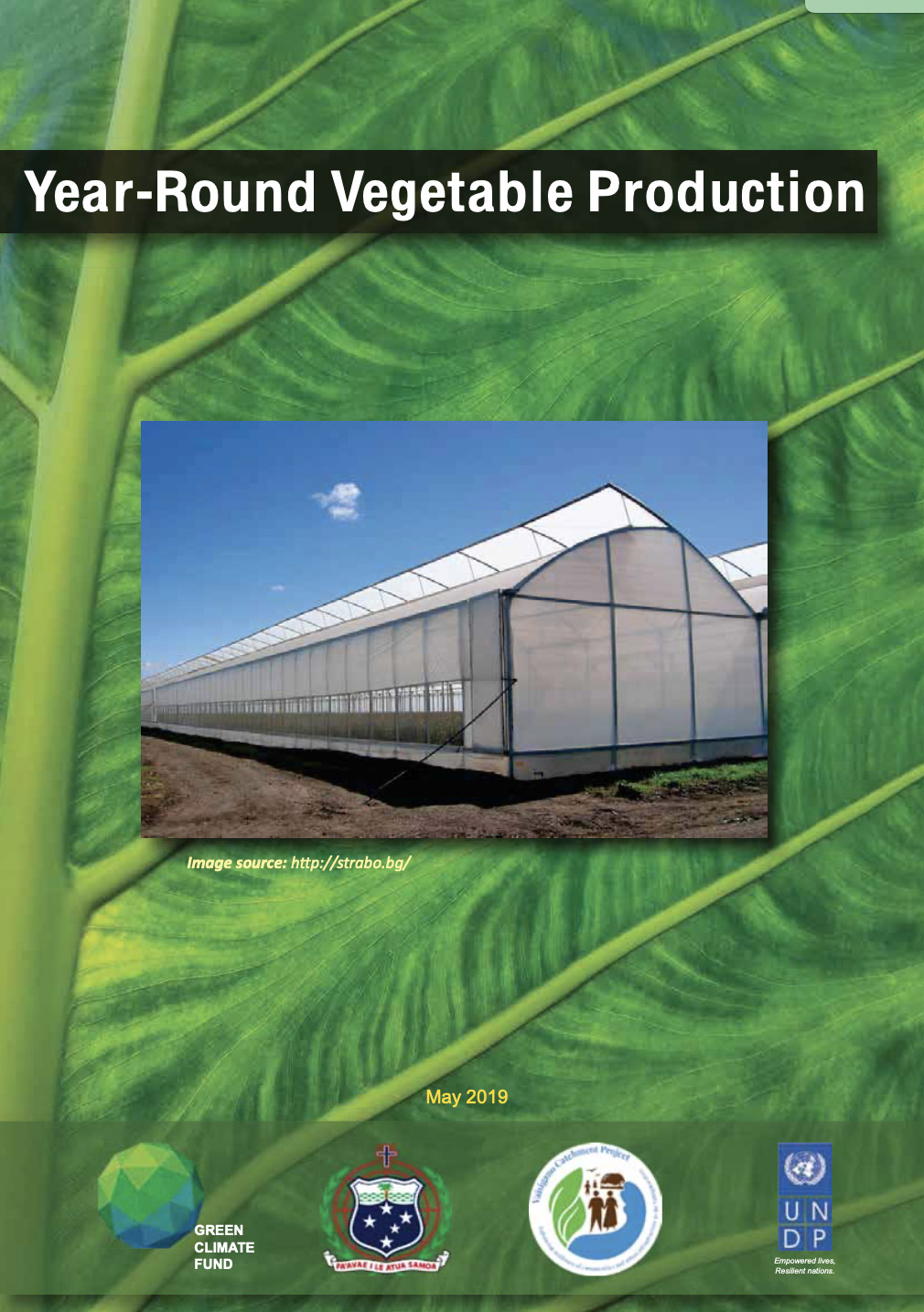 Brochure | Year Round Vegetable Production | Vaisigano Catchment ...