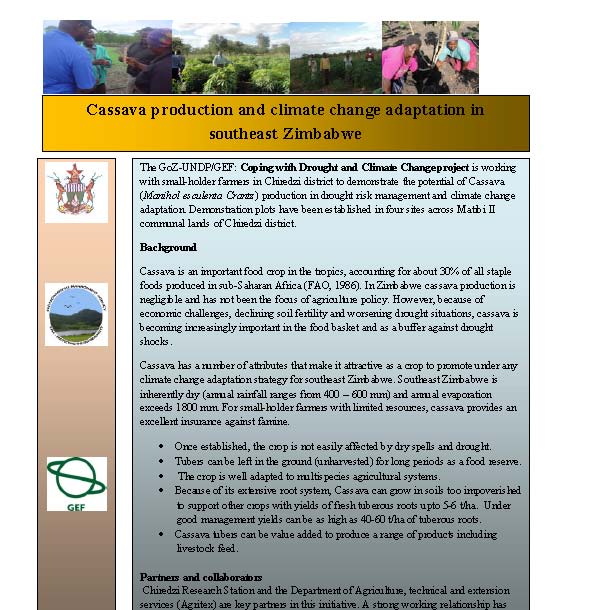 Zimbabwe CwDCC - Cassava production and climate change adaptation in ...