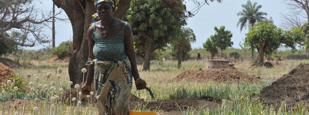 Scala overview | UNDP Climate Change Adaptation